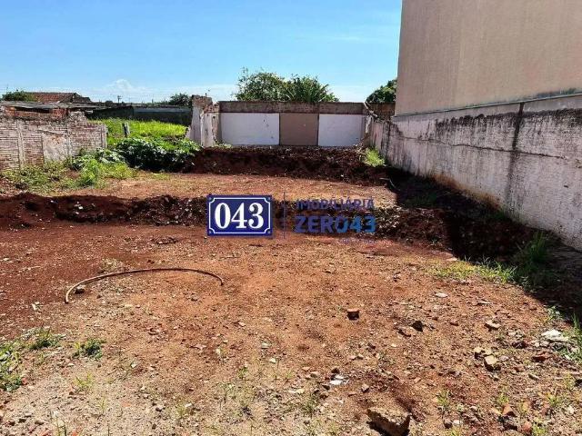 Terreno / Lote para Venda em Londrina/PR Vila Santa Terezinha