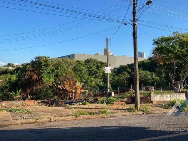 Terreno / Lote para Venda em Londrina/PR Vila Rodrigues