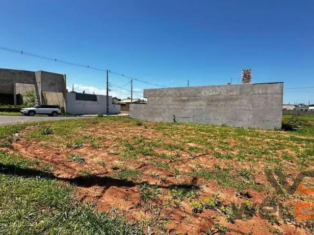 Terreno / Lote para Venda em Loanda/PR Jardim Italia