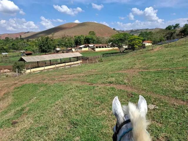 Terreno / Lote para Venda em Lorena/SP Centro
