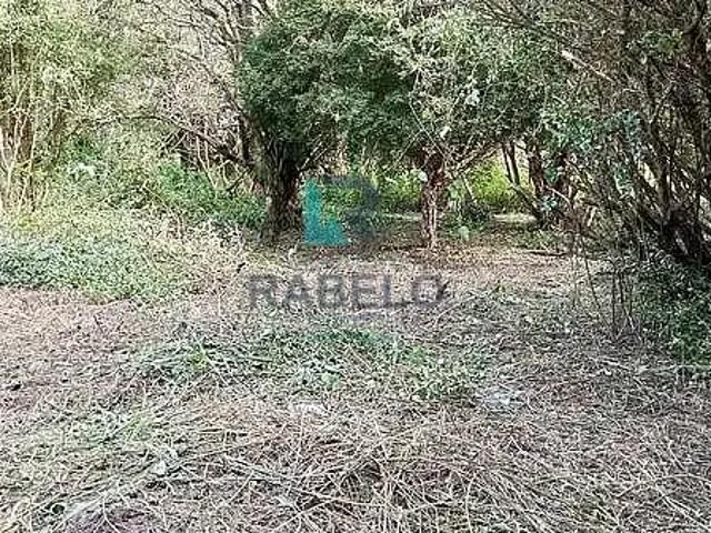 Terreno / Lote para Venda em Lorena/SP Centro