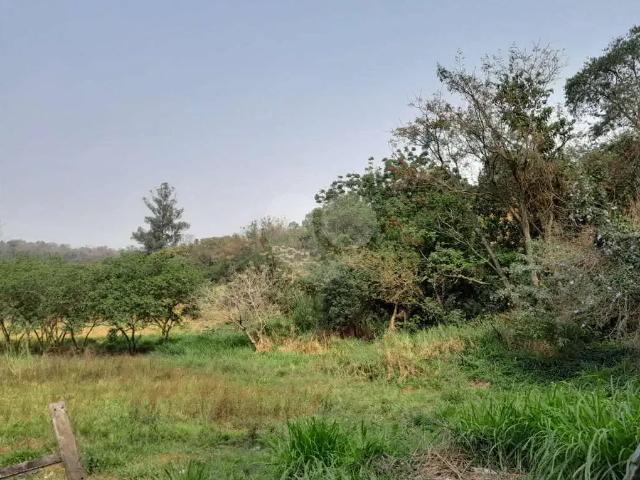 Terreno / Lote para Venda em Louveira/SP Abadia