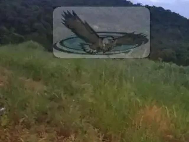 Terreno / Lote para Venda em Louveira/SP Engenho Seco