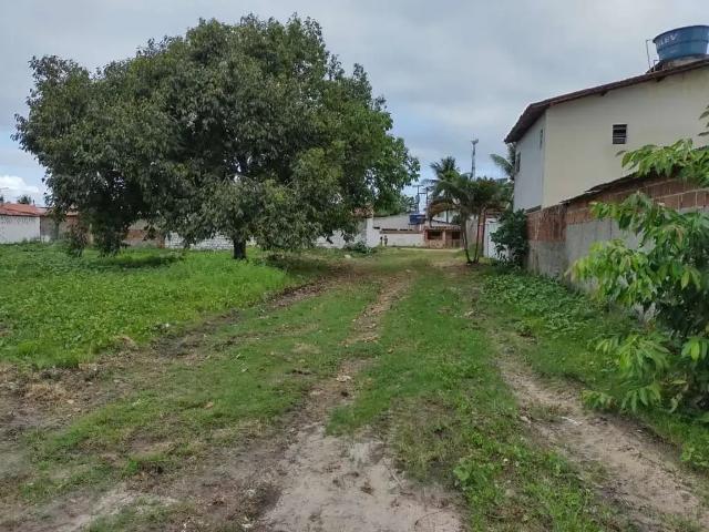 Terreno / Lote para Venda em Lucena/PB Centro