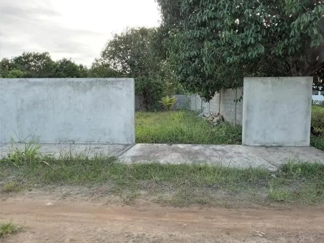 Terreno / Lote para Venda em Lucena/PB Ponta de Lucena