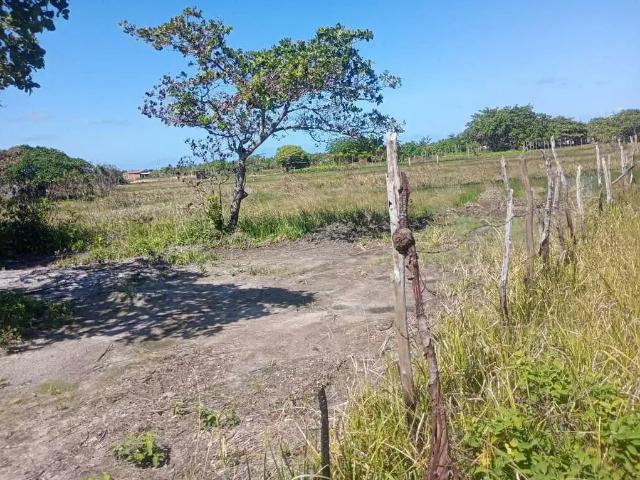 Terreno / Lote para Venda em Lucena/PB Praia de Fagundes