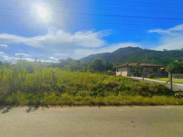 Terreno / Lote para Venda em Luiz Alves/SC Alto Máximo