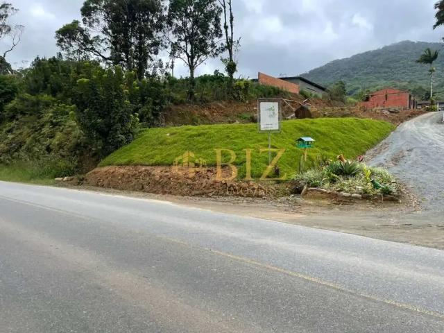 Terreno / Lote para Venda em Luiz Alves/SC Braço Serafim
