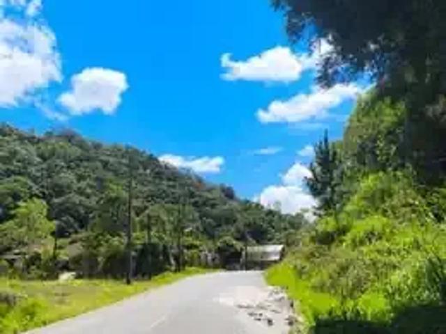 Terreno / Lote para Venda em Luiz Alves/SC Ribeirão Bugre