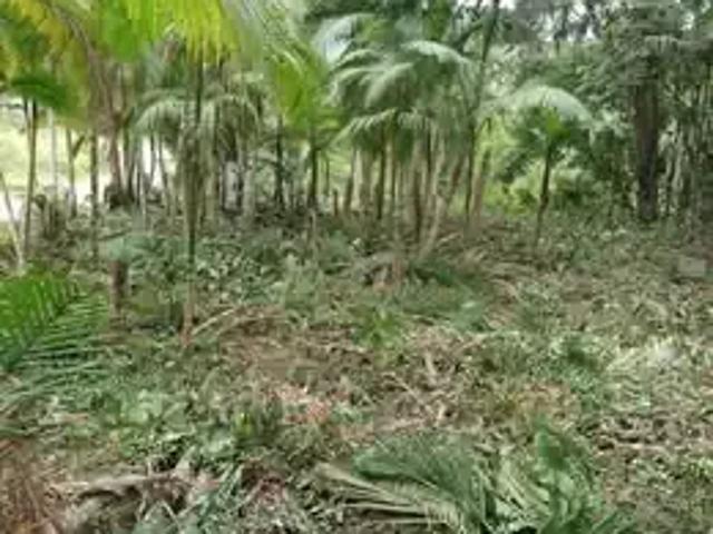 Terreno / Lote para Venda em Luiz Alves/SC Ribeirão Bugre