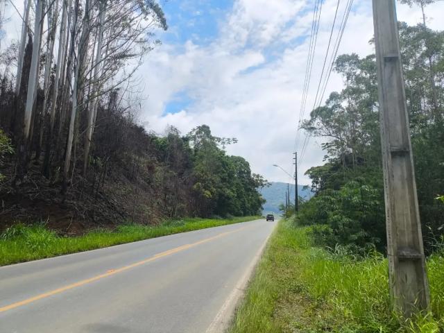Terreno / Lote para Venda em Luiz Alves/SC Rio do Peixe