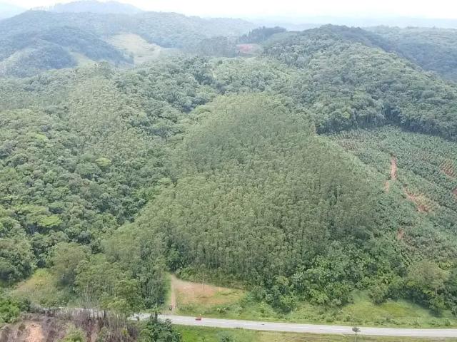 Terreno / Lote para Venda em Luiz Alves/SC Rio do Peixe