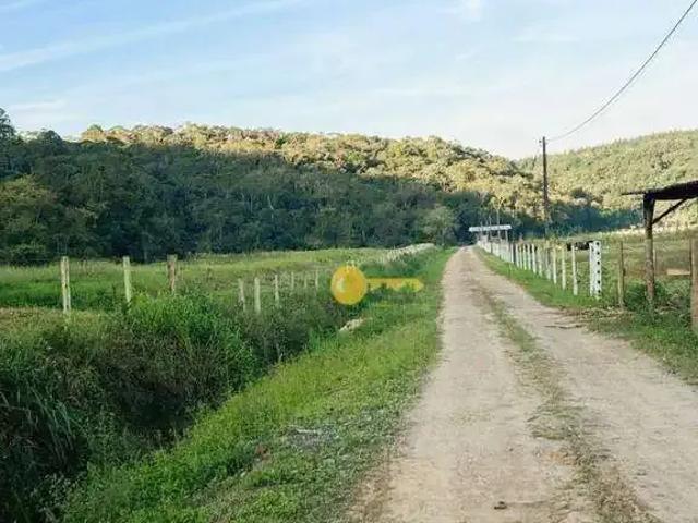 Terreno / Lote para Venda em Luiz Alves/SC Rio do Peixe