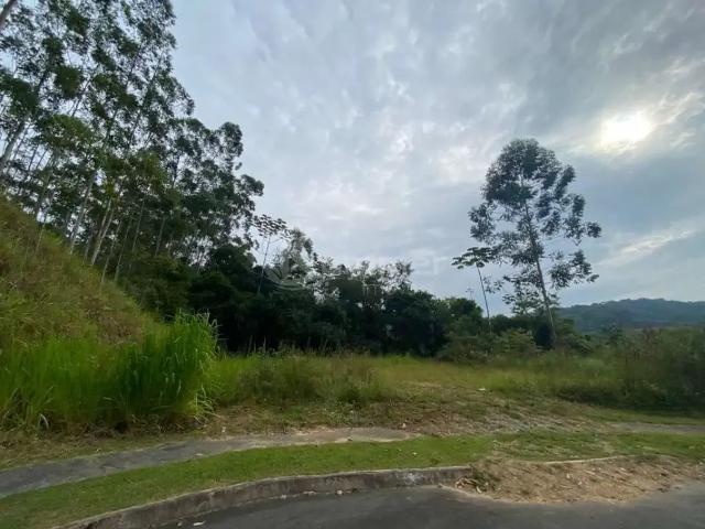 Terreno / Lote para Venda em Luiz Alves/SC Vila do Salto