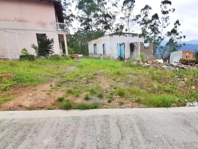 Terreno / Lote para Venda em Luiz Alves/SC Vila do Salto