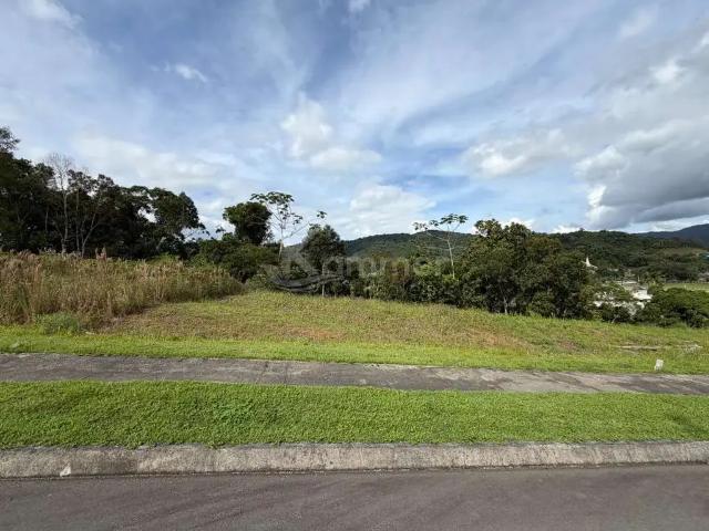 Terreno / Lote para Venda em Luiz Alves/SC Vila do Salto