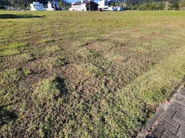 Terreno / Lote para Venda em Luiz Alves/SC Vila Nova