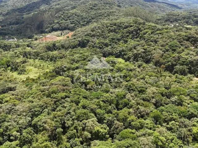 Terreno / Lote para Venda em Luiz Alves/SC Zona Rural