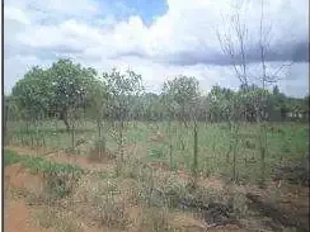 Terreno / Lote para Venda em Luziânia/GO Parque Alvorada II