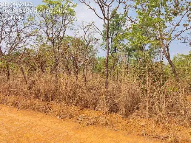 Terreno / Lote para Venda em Luziânia/GO Parque Alvorada II