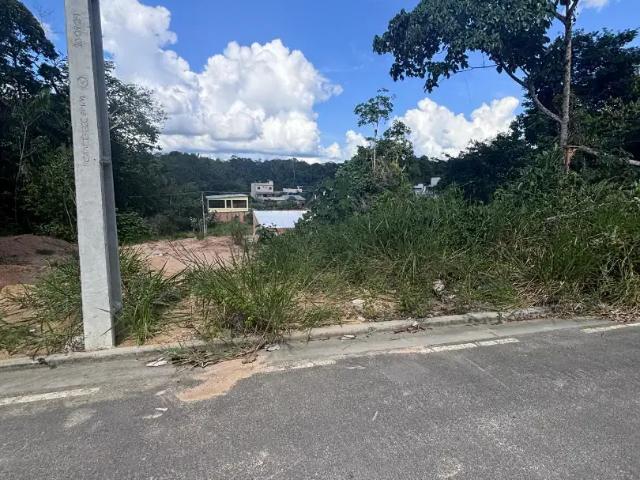 Terreno / Lote para Venda em Manaus/AM Tarumã