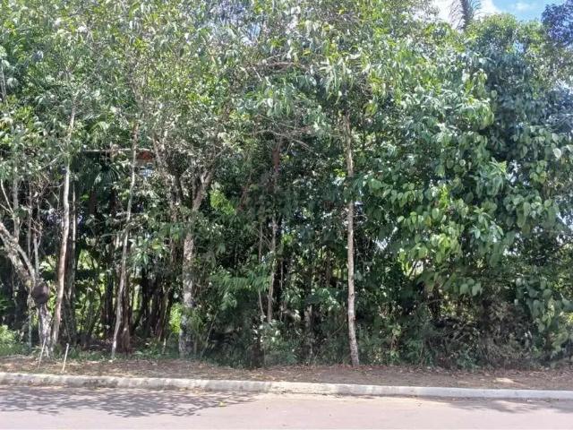 Terreno / Lote para Venda em Manaus/AM Tarumã