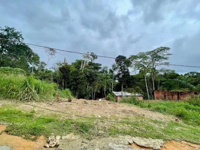 Terreno / Lote para Venda em Manaus/AM Tarumã
