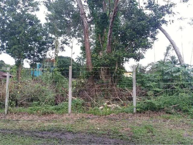 Terreno / Lote para Venda em Manaus/AM Tarumã
