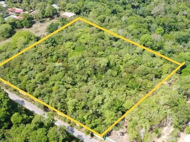 Terreno / Lote para Venda em Manaus/AM Tarumã