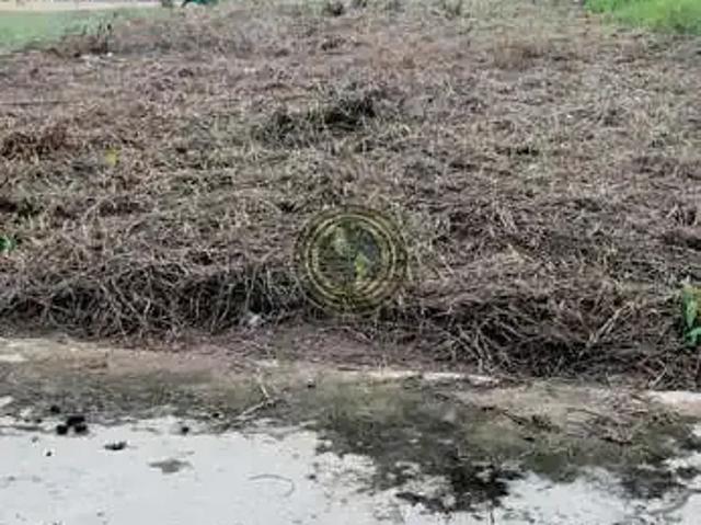 Terreno / Lote para Venda em Manaus/AM Tarumã Açu