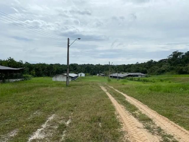 Terreno / Lote para Venda em Manaus/AM Área Rural de Manaus