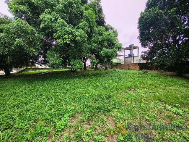 Terreno / Lote para Venda em Manaus/AM Cidade Nova