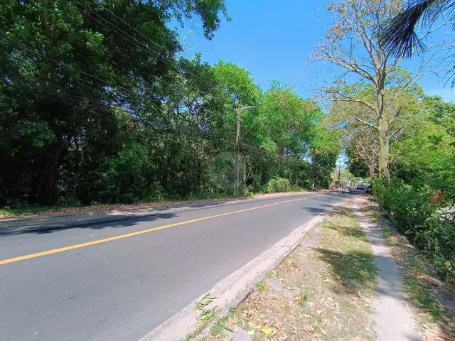 Terreno / Lote para Venda em Manaus/AM Colina do Aleixo