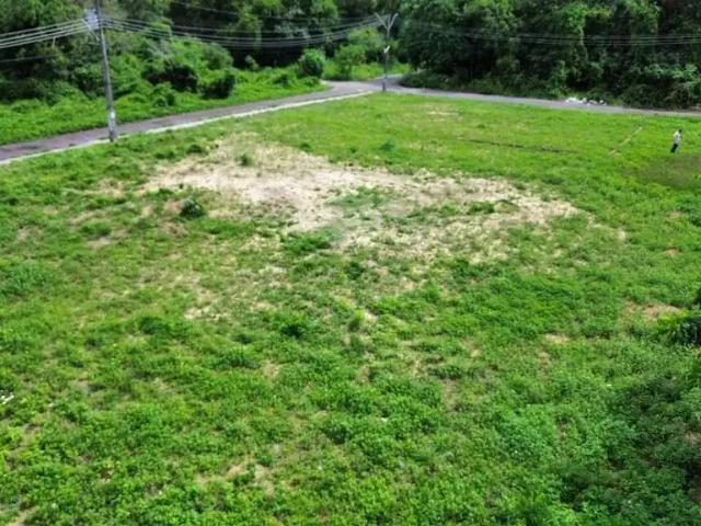 Terreno / Lote para Venda em Manaus/AM Novo Aleixo
