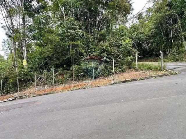 Terreno / Lote para Venda em Manaus/AM Ponta Negra