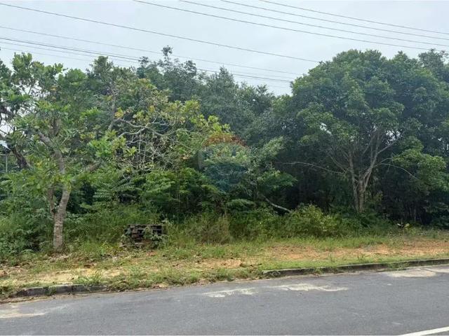 Terreno / Lote para Venda em Manaus/AM Ponta Negra