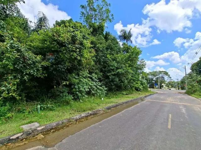 Terreno / Lote para Venda em Manaus/AM Ponta Negra