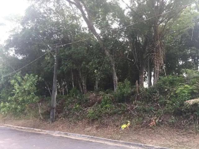 Terreno / Lote para Venda em Manaus/AM Ponta Negra