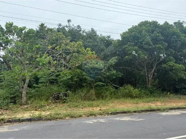 Terreno / Lote para Venda em Manaus/AM Ponta Negra