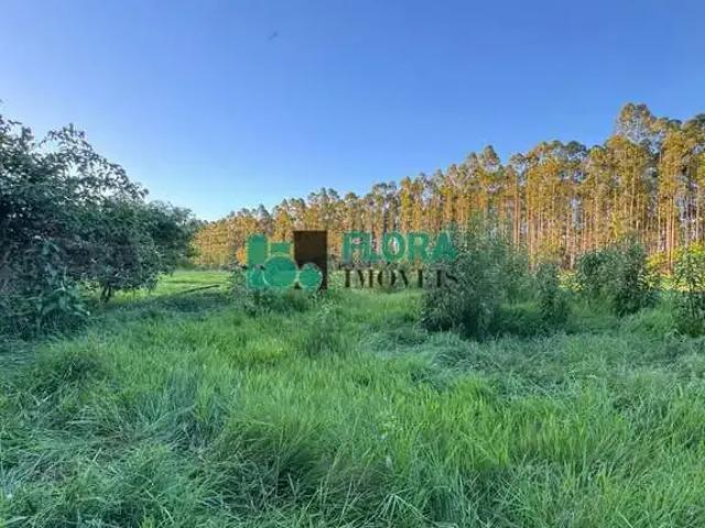 Terreno / Lote para Venda em Mandaguaçu/PR Vila Guadiana