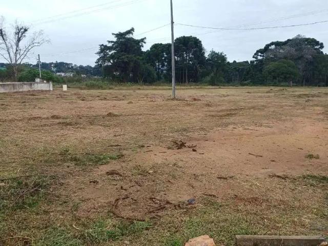 Terreno / Lote para Venda em Mandirituba/PR Centro
