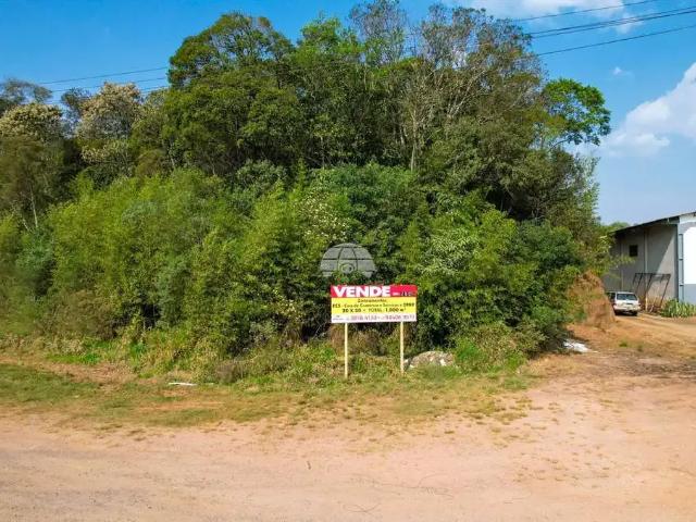 Terreno / Lote para Venda em Mandirituba/PR Centro