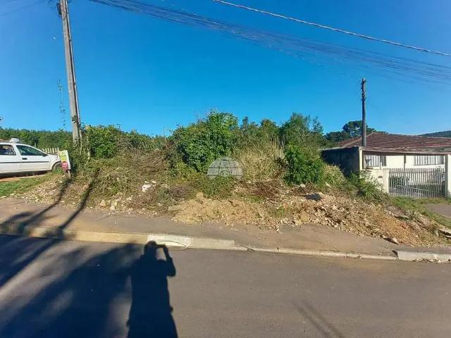 Terreno / Lote para Venda em Mandirituba/PR Centro