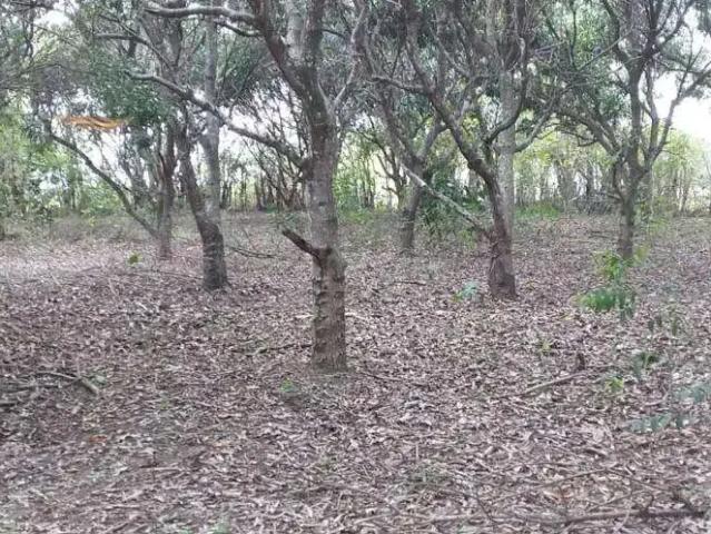 Terreno / Lote para Venda em Macaé/RJ Ajuda de Cima