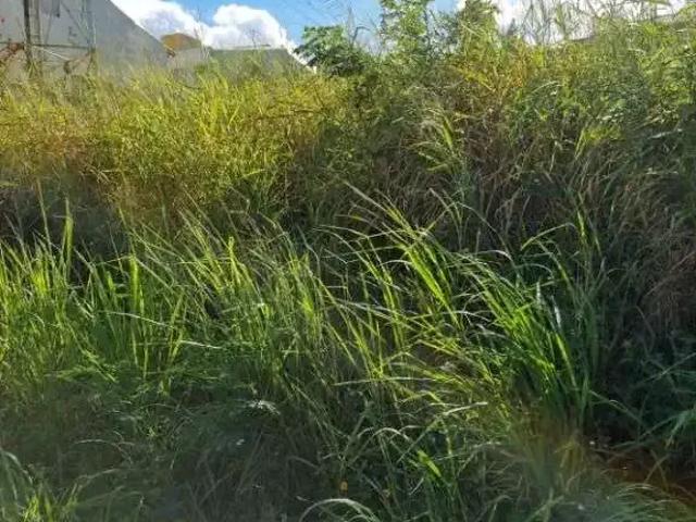 Terreno / Lote para Venda em Macaé/RJ Riviera Fluminense