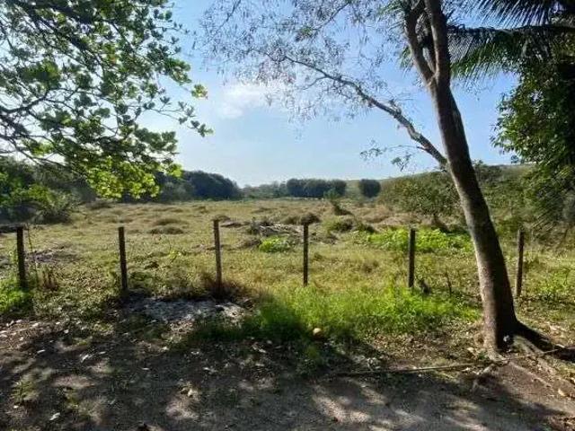 Terreno / Lote para Venda em Macaé/RJ Virgem Santa