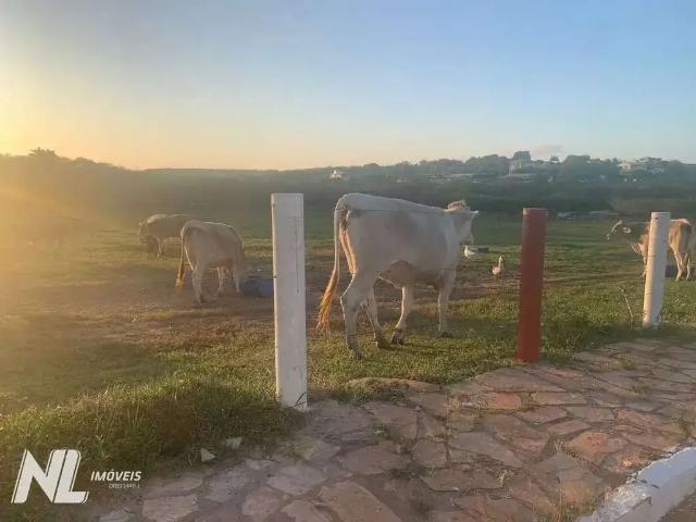 Terreno / Lote para Venda em Macaíba/RN Zona Rural