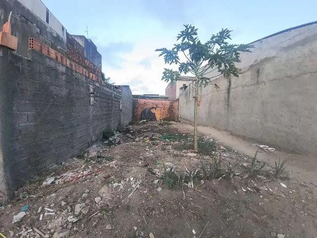 Terreno / Lote para Venda em Maceió/AL Tabuleiro do Martins