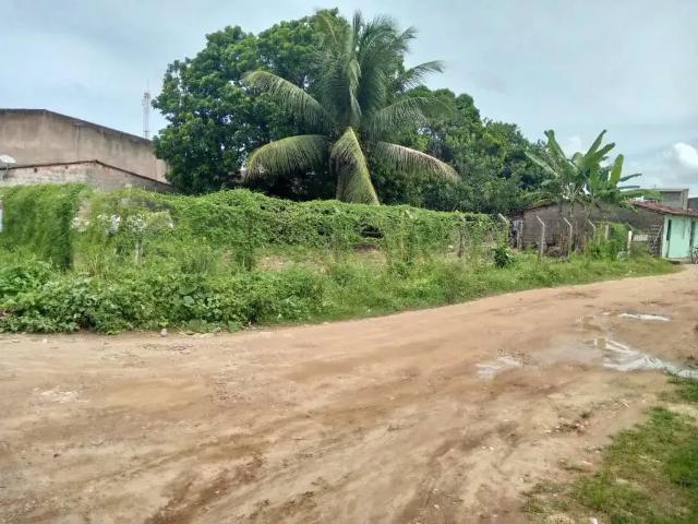 Terreno / Lote para Venda em Maceió/AL Cidade Universitária