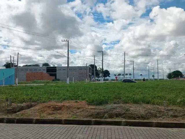 Terreno / Lote para Venda em Maceió/AL Cidade Universitária